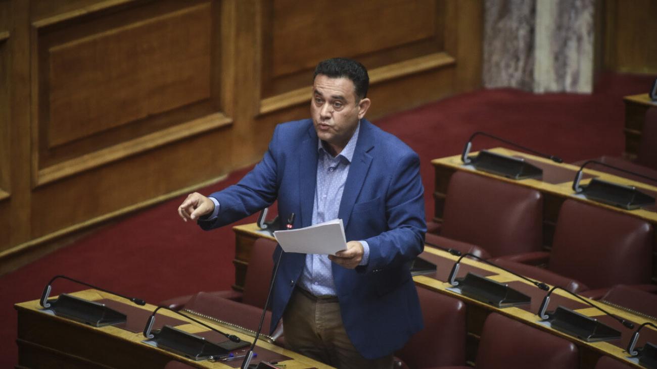 Μελος Επιτροπής Θεσμών και Διαφάνειας: «100.000 Έλληνες υπο ...