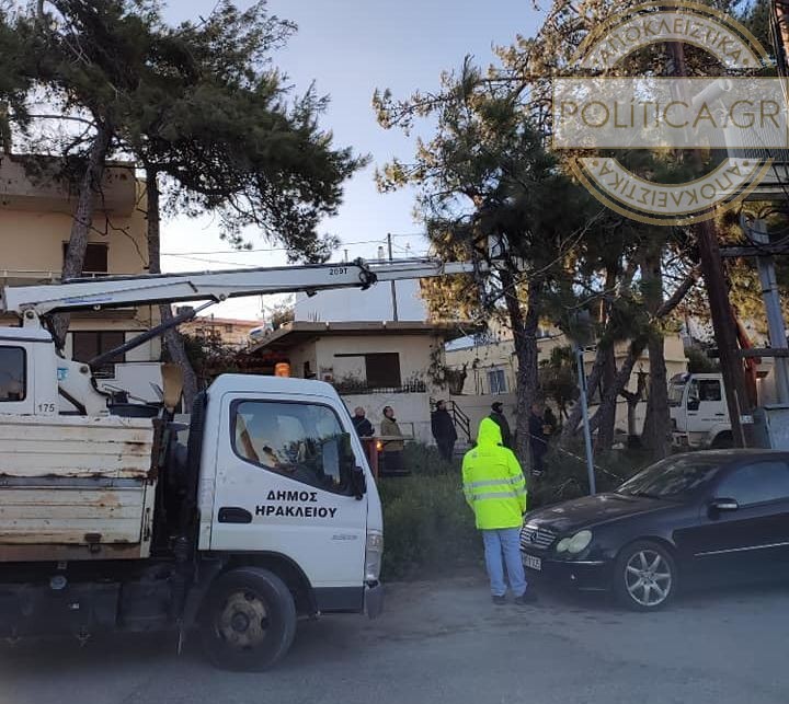 Προχωρά η κοπή των δέντρων στα Δειλινά - Τα συγκλονιστικά μηνύματα ...